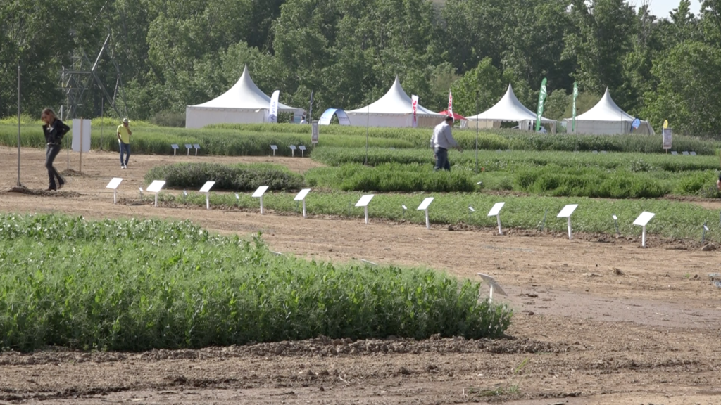 AETC en GENVCE 2018 | AETC